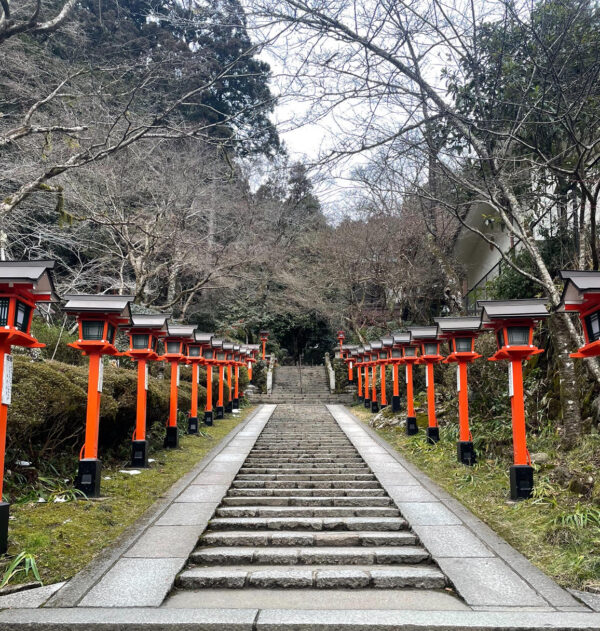 Dégustation de Sakés Japonais – Cave à Terroirs à Strasbourg